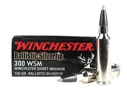 WINCHESTER BALLISTIC SILVERTIP 300 WSM 180 GR